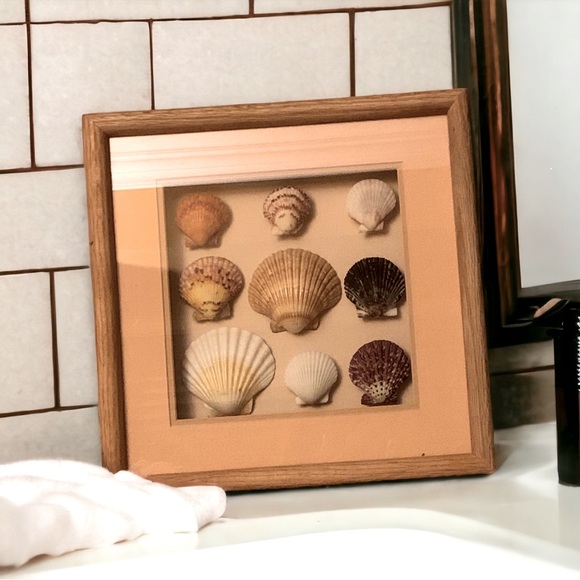 unknown, vintage, rare | Accents | Vintage Nautical Specimen Art ...